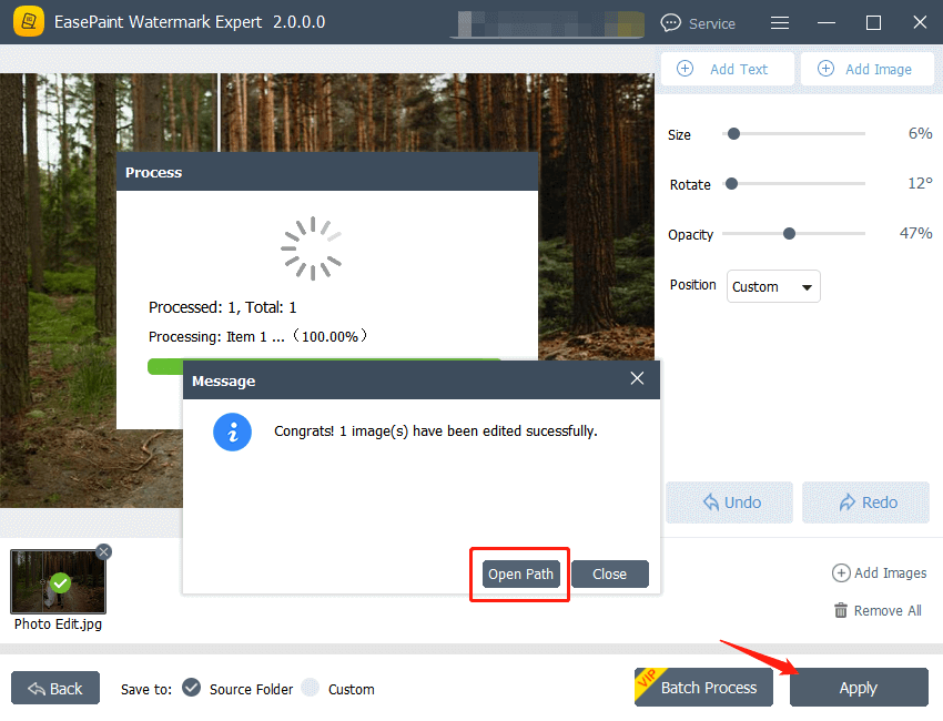 How to Add Image Watermark to Photo? - EasePaint Watermark Expert