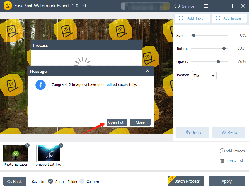 How to Batch Add Image Watermark to Photo?